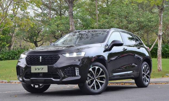 【文章】销量同比下滑43.18%，WEY品牌为什么玩不转高端化？_车家号_汽车之家