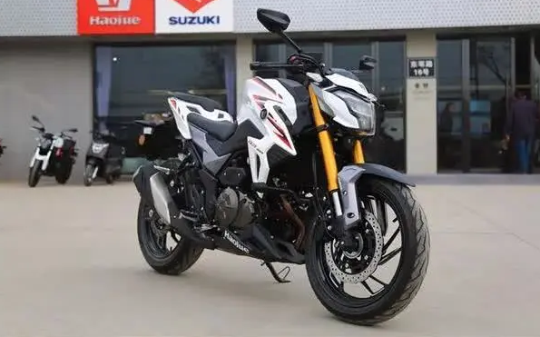 豪爵DR300姗姗来迟，让人吃惊的价格，或许只是小菜！_车家号_发现车生活_汽车之家