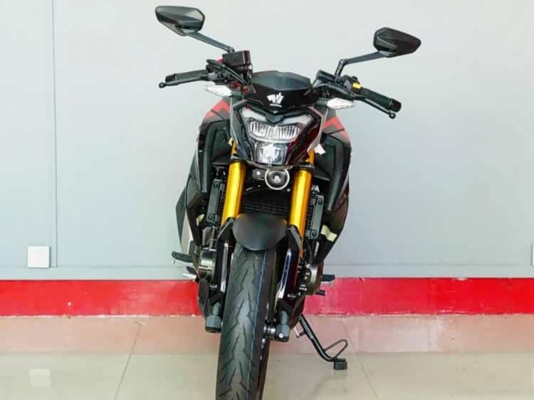 豪爵 DR250与豪爵铃木 GW250 如何选？动力相差不大，颜值都够炫_车家号_发现车生活_汽车之家