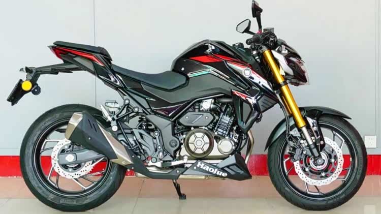 豪爵 DR250与豪爵铃木 GW250 如何选？动力相差不大，颜值都够炫_车家号_发现车生活_汽车之家