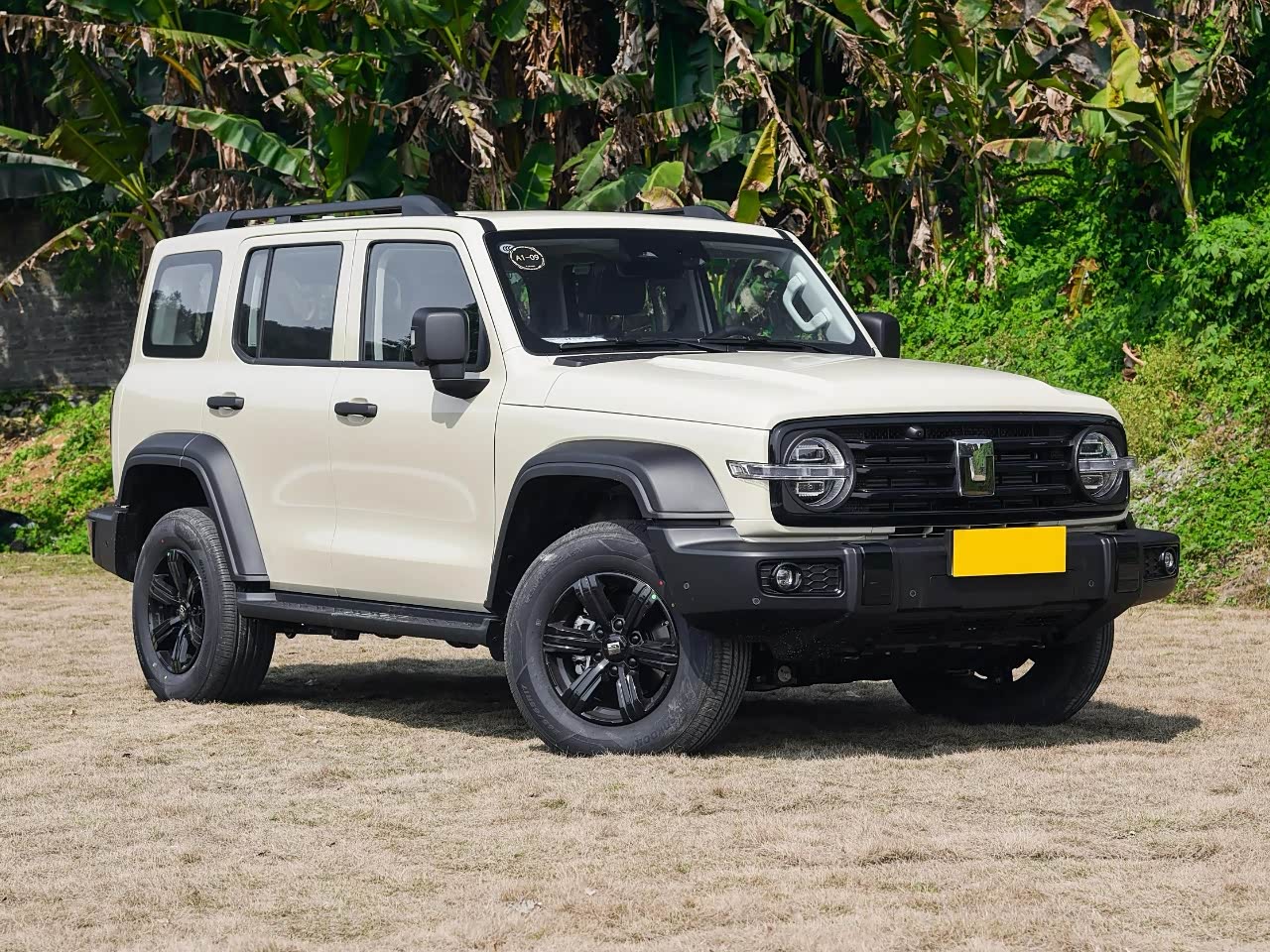 坦克300柴油版来了！内饰全面升级，标配2.4T+9AT，10种驾驶模式_车家号_发现车生活_汽车之家