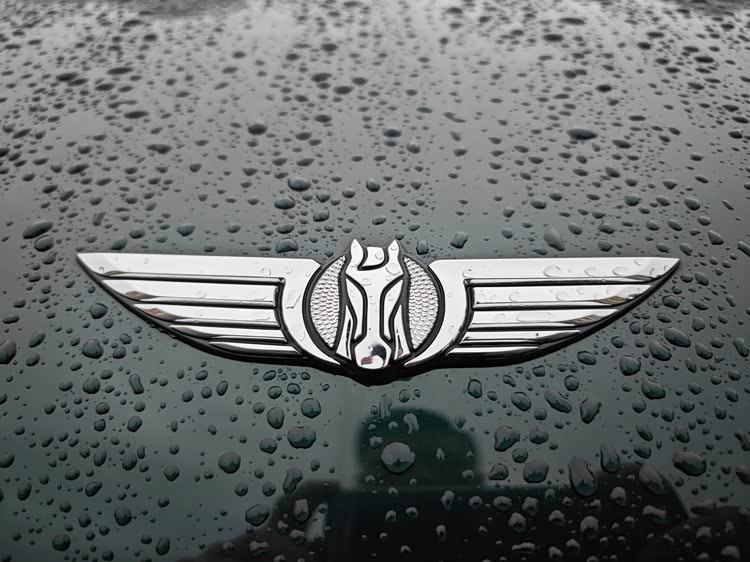 吉利翼真L380实车现身，个性不输理想MEGA，配8座+续航650km_车家号_发现车生活_汽车之家