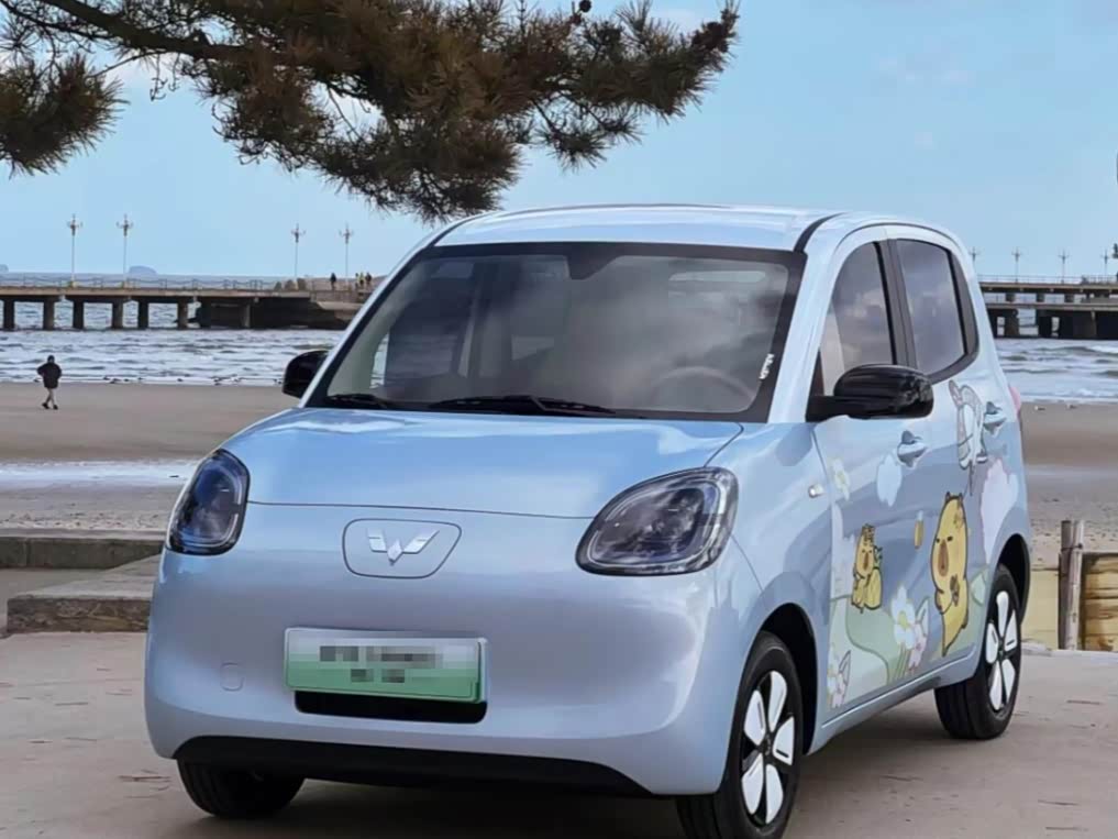 二胎老母亲的选择，五菱宏光MINIEV陪我走过产检与接娃_车家号_发现车生活_汽车之家